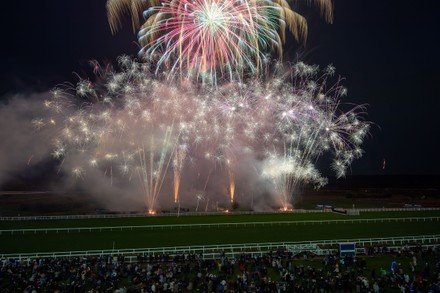 Horse Hacker Des Places Ridden By Editorial Stock Photo - Stock Image ...