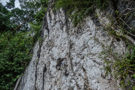 Visitor Tries Climb Karst Cliff On Editorial Stock Photo - Stock Image ...
