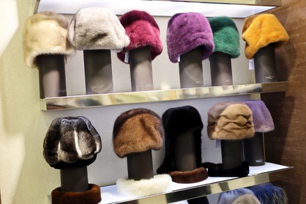 Fur Hats Displayed Shop Tykafurlux Ltd Editorial Stock Photo - Stock ...
