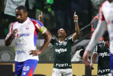 Roni C Palmeiras Celebrates After Scoring Editorial Stock Photo - Stock ...