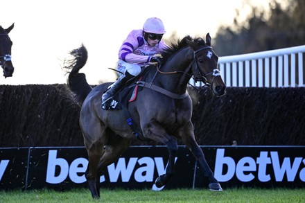 Jockey Harry Kimber Returns Paddock After Editorial Stock Photo - Stock ...