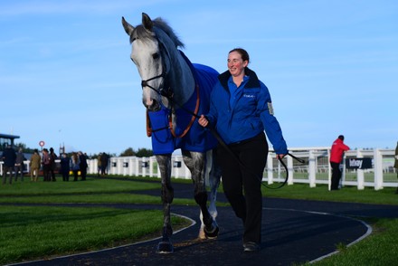 exeter races Stock Photos (Exclusive) | Shutterstock