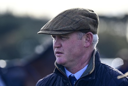 exeter races Stock Photos (Exclusive) | Shutterstock