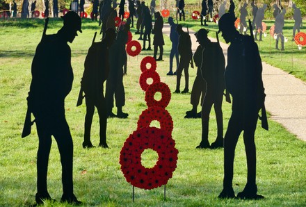 Mark Remembrance This Autumn Largescale Art Editorial Stock Photo ...