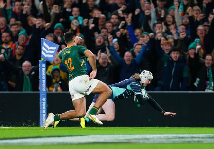 ireland v south africa Stock Photos (Exclusive) | Shutterstock