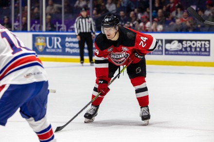 Utica Comets Forward Brian Halonen 24 Editorial Stock Photo - Stock ...