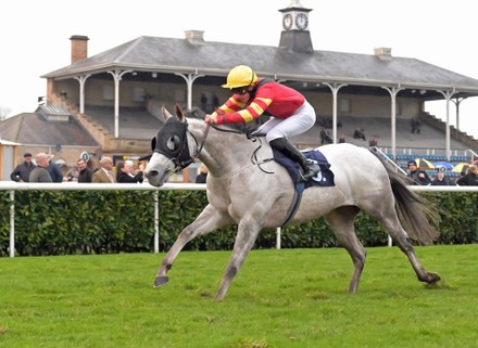 Zip Alec Voikhansky Wins Free Bet Editorial Stock Photo - Stock Image ...