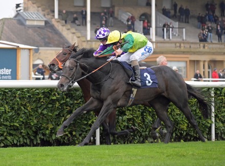 Yellow Cap Ferrous Connor Beasley Wins Editorial Stock Photo - Stock ...