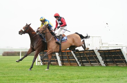 Wincanton Racecourse West Country Weekend Ebf Editorial Stock Photo ...