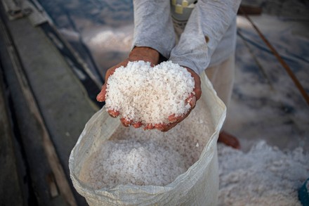 Farmer Shows Salt Harvested Traditional Way Editorial Stock Photo ...