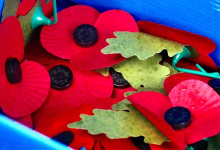 Poppies Sale Rain First Time Over Editorial Stock Photo - Stock Image ...