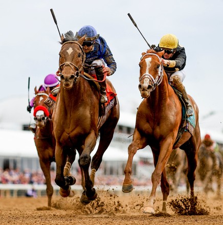 3,000 Horse racing fans Stock Pictures, Editorial Images and Stock ...
