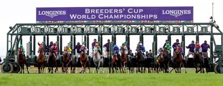 3,000 Horse racing championship Stock Pictures, Editorial Images and ...