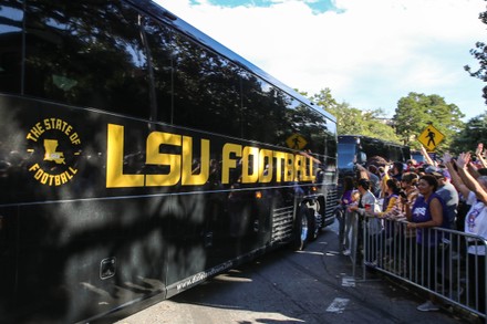 30,000 Buses, Stock Pictures, Editorial Images and Stock Photos ...