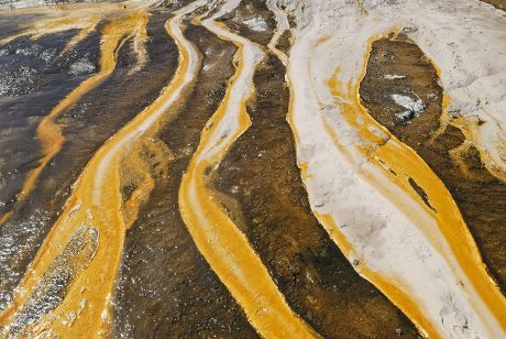 45 Algae deposits Stock Pictures, Editorial Images and Stock Photos ...