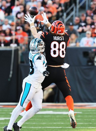 Cincinnati Bengals Tight End Hayden Hurst Editorial Stock Photo - Stock ...