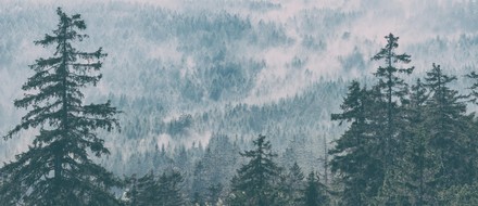 Panorama Clouds Fog Drift Through Endless Editorial Stock Photo - Stock ...