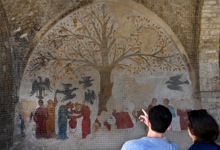 Tree Fertility Phallus Tree Fresco Mural Foto de stock de contenido ...