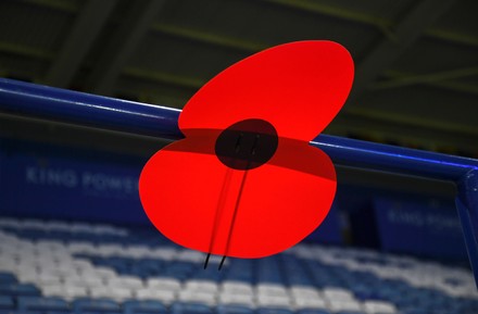 Large Poppy On Display Stands Editorial Stock Photo - Stock Image ...