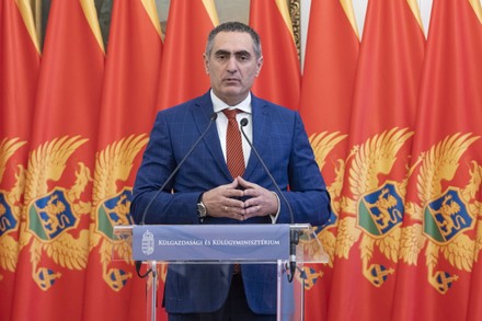 Montenegrin Minister Finance Aleksandar Damjanovic Speaks Editorial ...