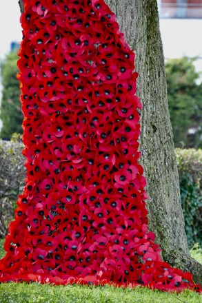 Tribute Remembrance Day Waterfall Cascading Recyclable Editorial Stock ...