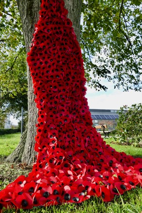 Tribute Remembrance Day Waterfall Cascading Recyclable Editorial Stock ...