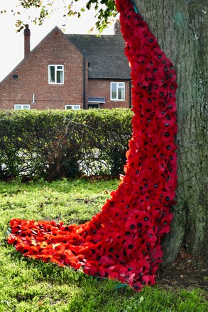 Tribute Remembrance Day Waterfall Cascading Recyclable Editorial Stock ...
