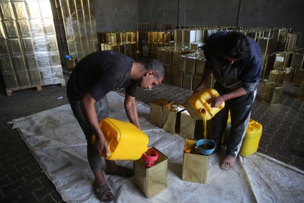 Palestinian Workers Seen Hand Filtering Olive Editorial Stock Photo ...