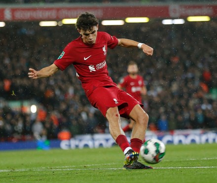 Stefan Bajcetic Liverpool Editorial Stock Photo - Stock Image ...