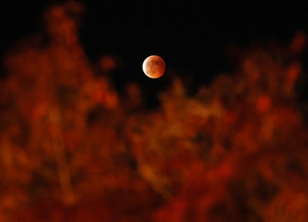 Total Lunar Eclipse Observed Behind Lit Editorial Stock Photo - Stock ...