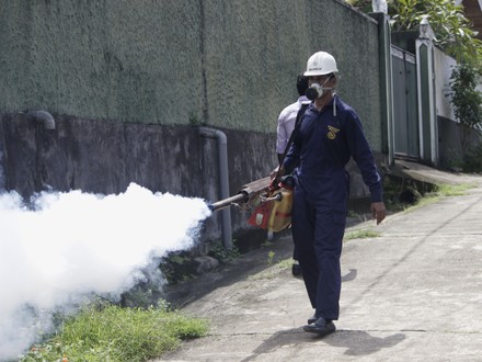 Government Worker Fogging Prevention Strategy Dengue Editorial Stock ...