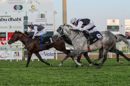 Bahar Muscat Om Ridden By Ray Editorial Stock Photo - Stock Image ...