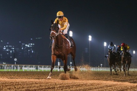 Af Alajaj Fr Ridden By Tadhg Editorial Stock Photo - Stock Image ...