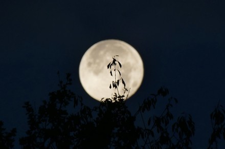 750 Third full moon Stock Pictures, Editorial Images and Stock Photos ...