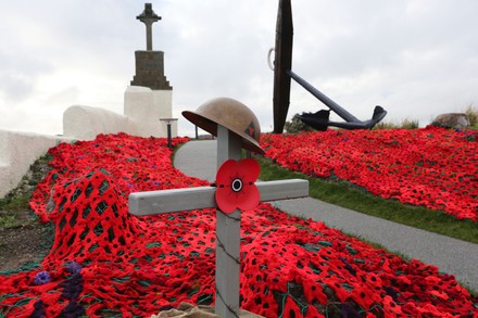 1,000 Poppy display Stock Pictures, Editorial Images and Stock Photos ...