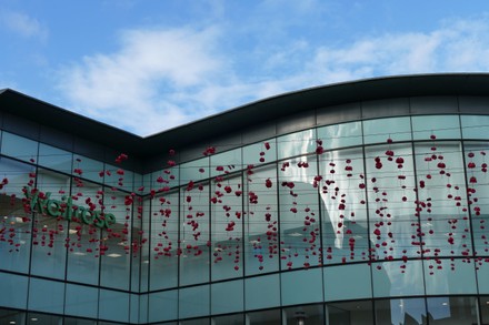 1,000 Poppy display Stock Pictures, Editorial Images and Stock Photos ...