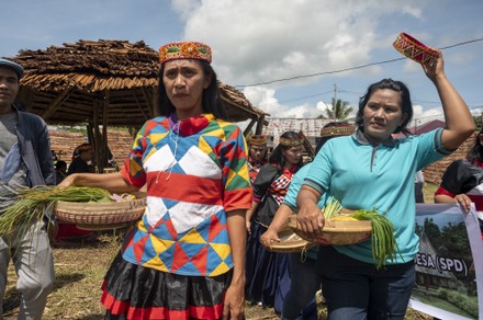 Bada Indigenous People Bring Their Agricultural Editorial Stock Photo ...