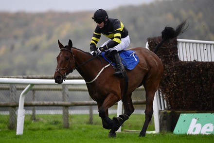 Race Winner Born Midnight Ridden By Editorial Stock Photo - Stock Image ...