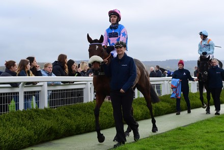 Race Winner Spy Diva Ridden By Editorial Stock Photo - Stock Image ...