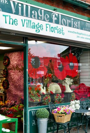Poppy Window Displays Shops Residents Shops Editorial Stock Photo ...