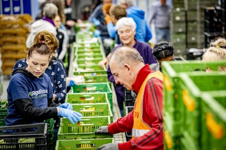 Volunteers Food Bank Hague Packing Food Editorial Stock Photo - Stock ...