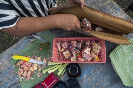 Mori Tribe Demonstrates Making Traditional Food Editorial Stock Photo ...