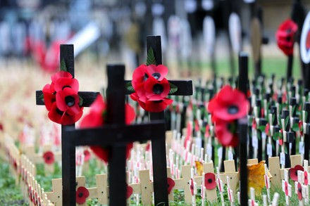Poppy Crosses Field Remembrance Grounds Westminster Editorial Stock ...