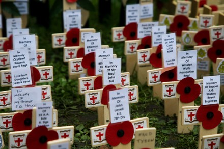 Poppy Crosses Field Remembrance Grounds Westminster Editorial Stock ...