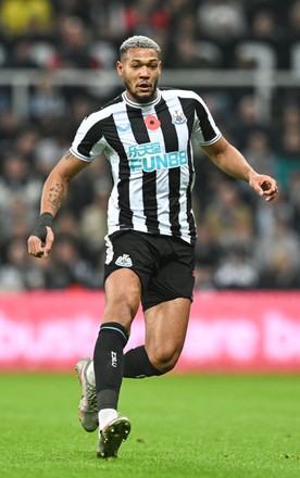 Joelinton Newcastle United Editorial Stock Photo - Stock Image ...