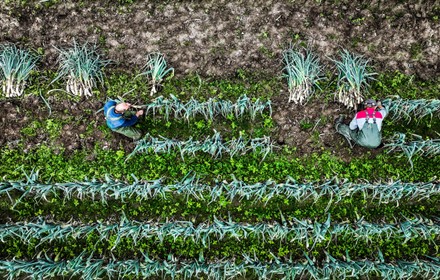 6,000 Farming land Stock Pictures, Editorial Images and Stock Photos ...