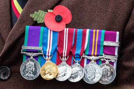 Poppy Medals Worn By Member Armed Editorial Stock Photo - Stock Image ...