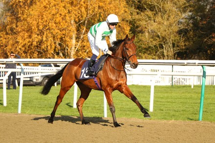 3,000 Horse racing fans Stock Pictures, Editorial Images and Stock ...