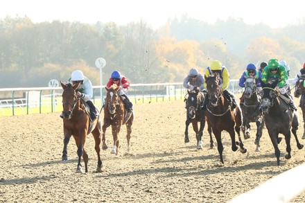 3,000 Horse racing fans Stock Pictures, Editorial Images and Stock ...