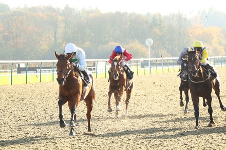 3,000 Horse racing fans Stock Pictures, Editorial Images and Stock ...